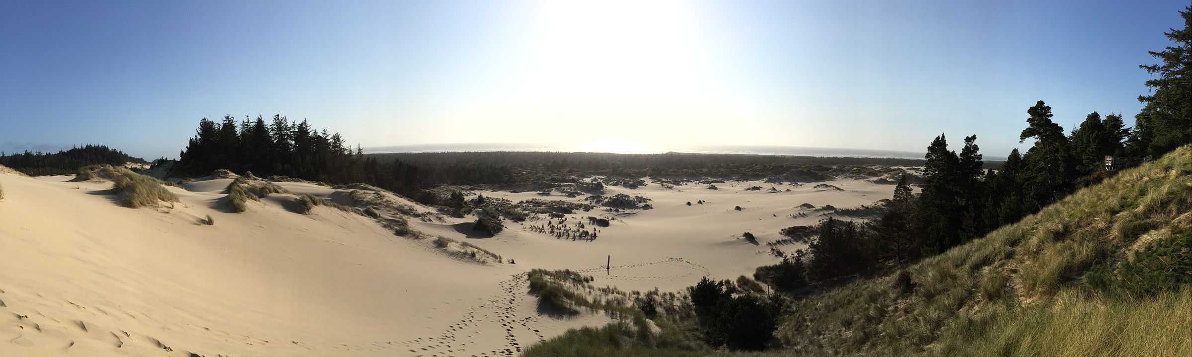 Oregon Dunes Trail | Natural Atlas