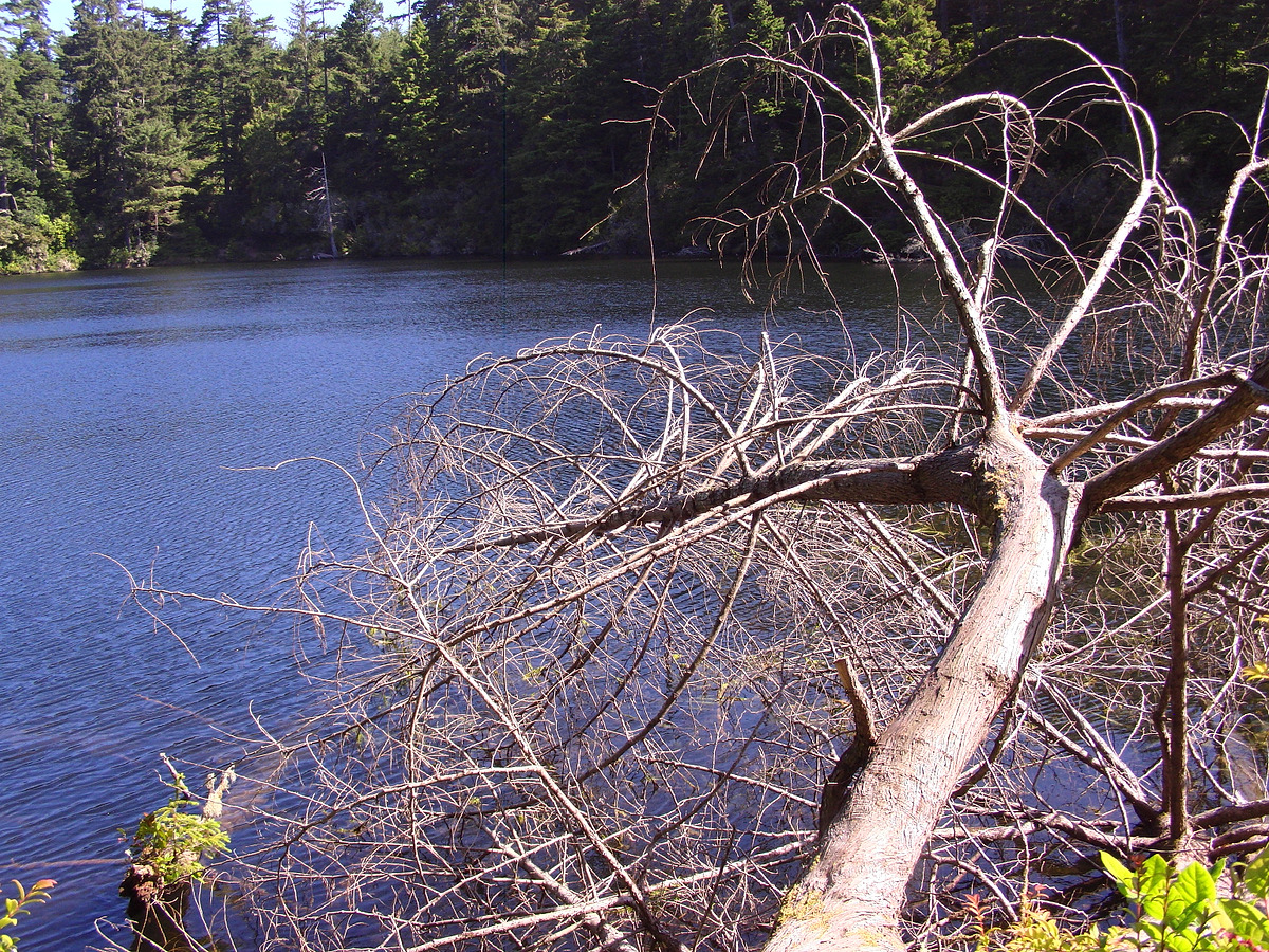 Lake Marie | Natural Atlas