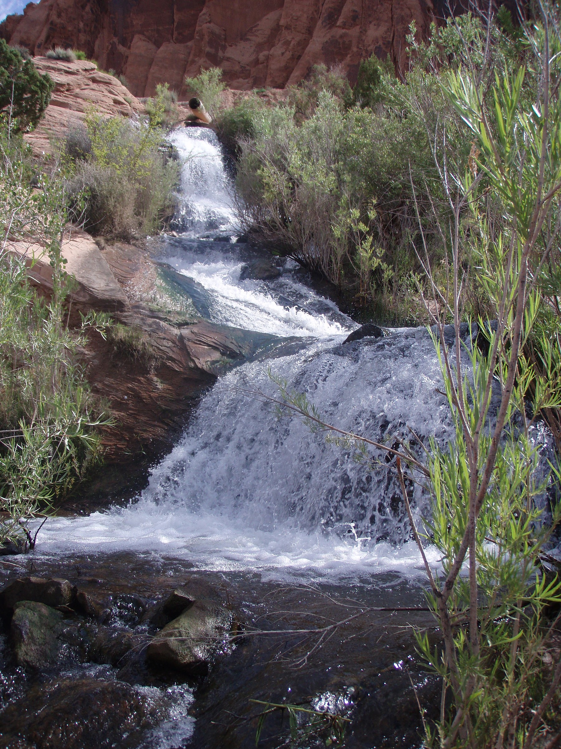 Little Dolores River | Natural Atlas
