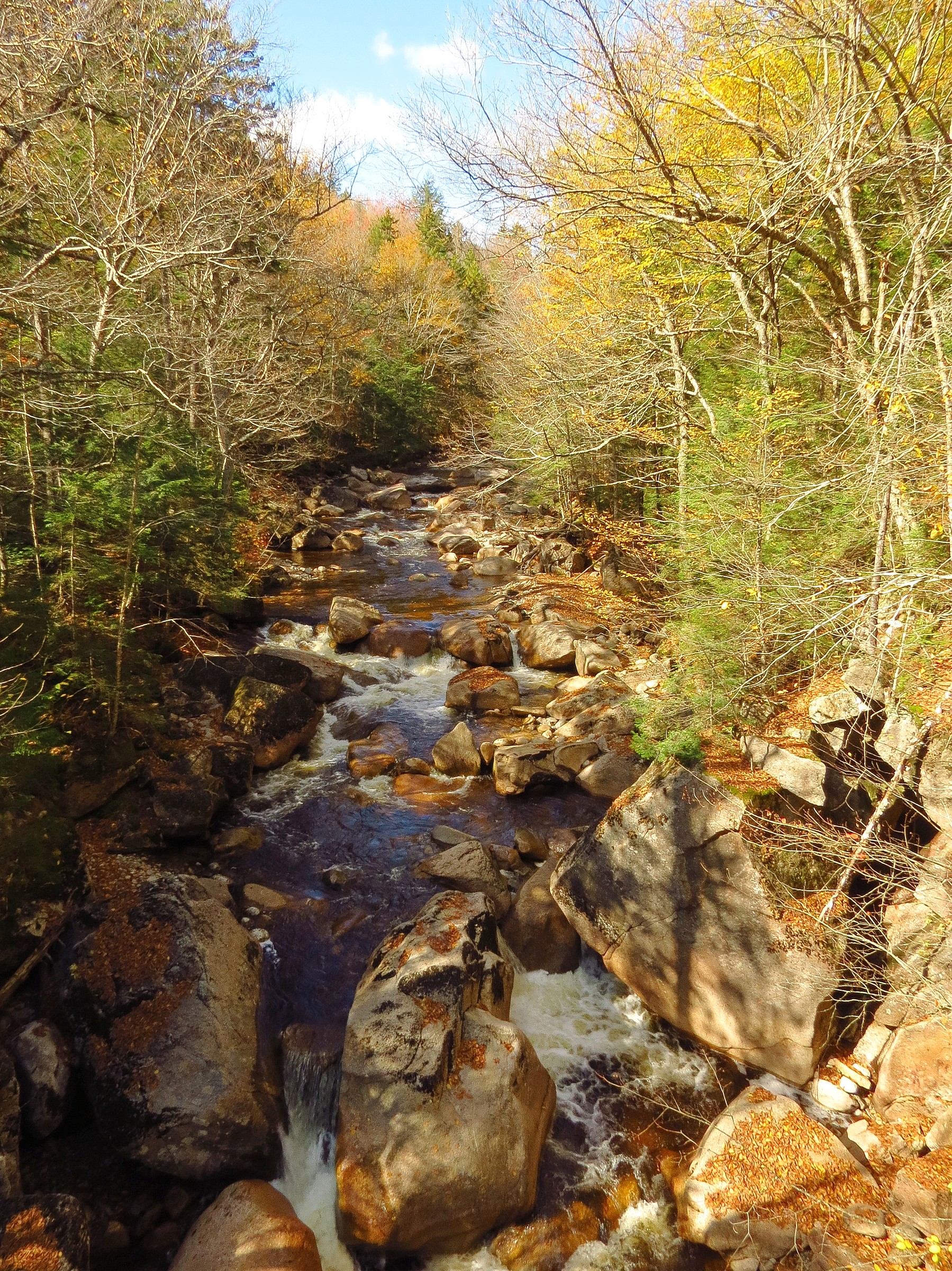 Pemigewasset River | Natural Atlas