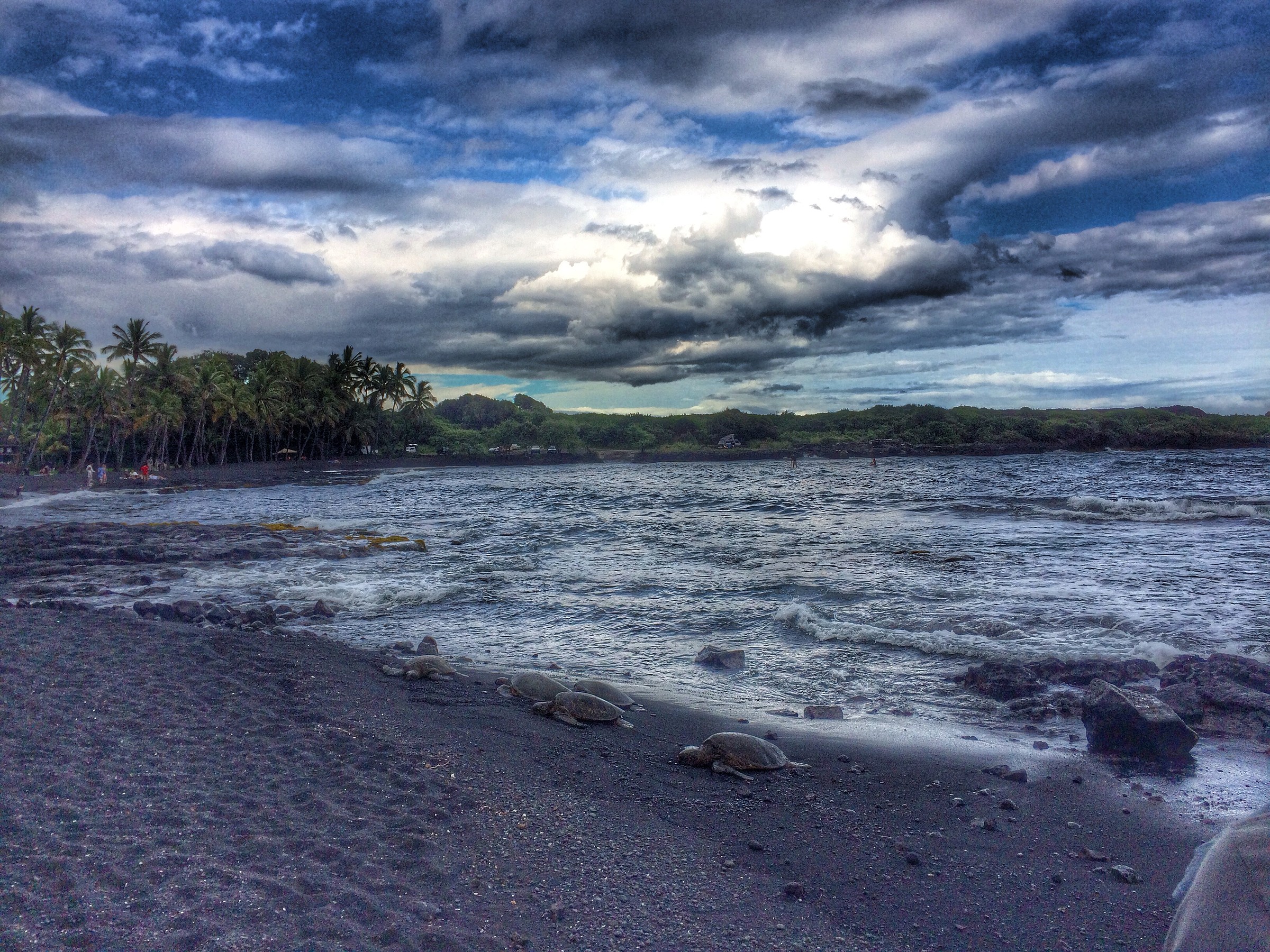 Punalu‘u Beach | Natural Atlas