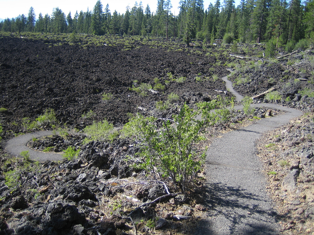 Lava Cast Forest Trail | Natural Atlas
