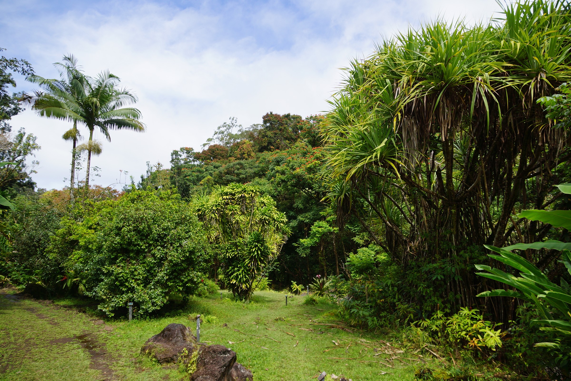 Ke‘anae Arboretum Trailhead | Natural Atlas