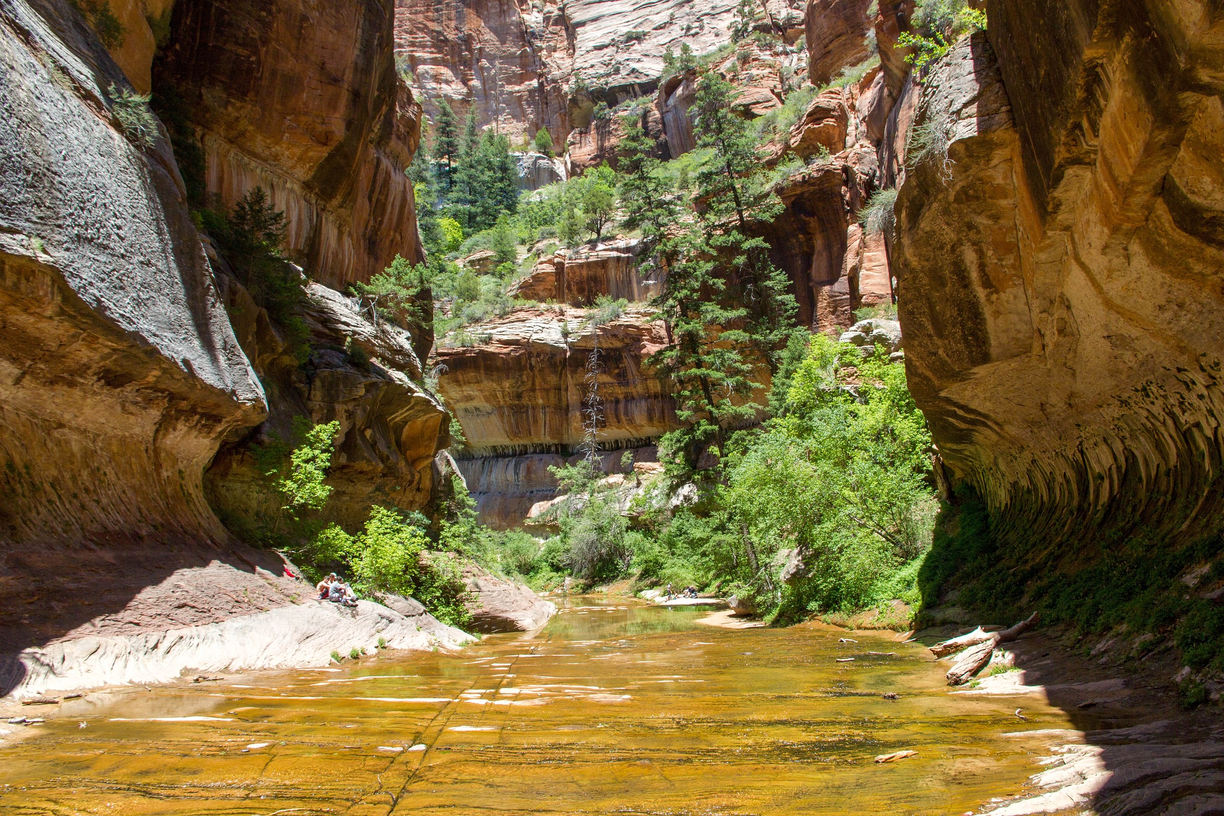 Left Fork (Subway) Route | Natural Atlas