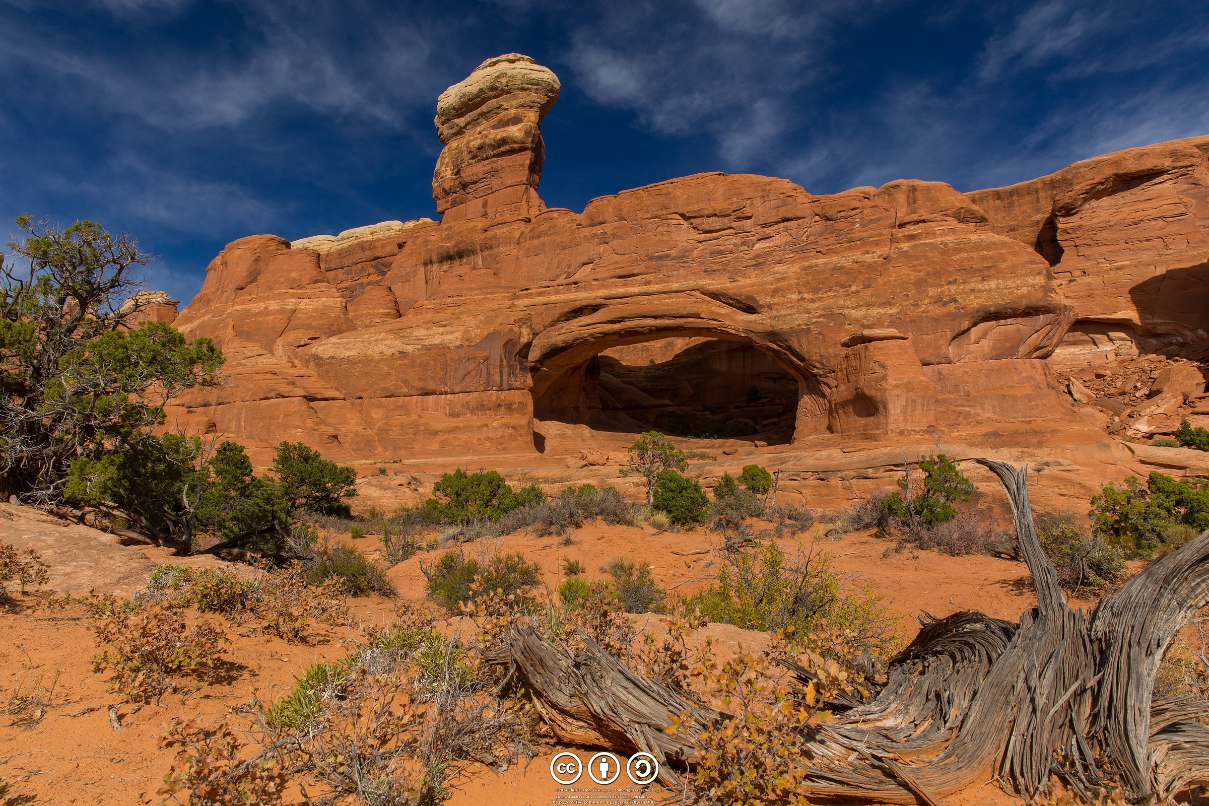 Tower Arch | Natural Atlas