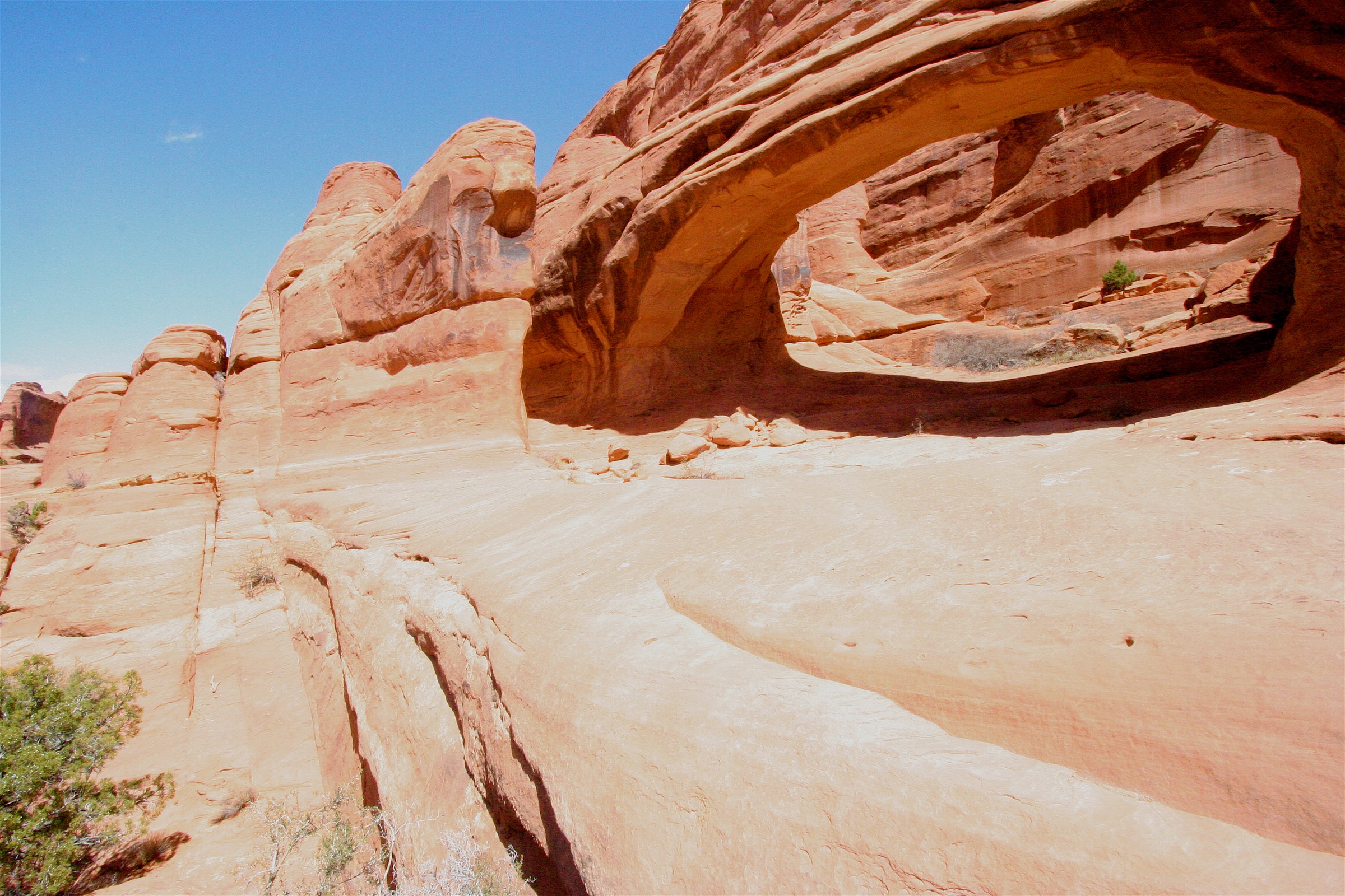 Tower Arch | Natural Atlas
