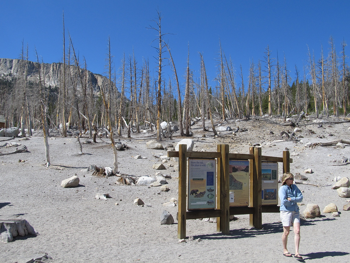 Red Cones/Mammoth Pass Trailhead | Natural Atlas