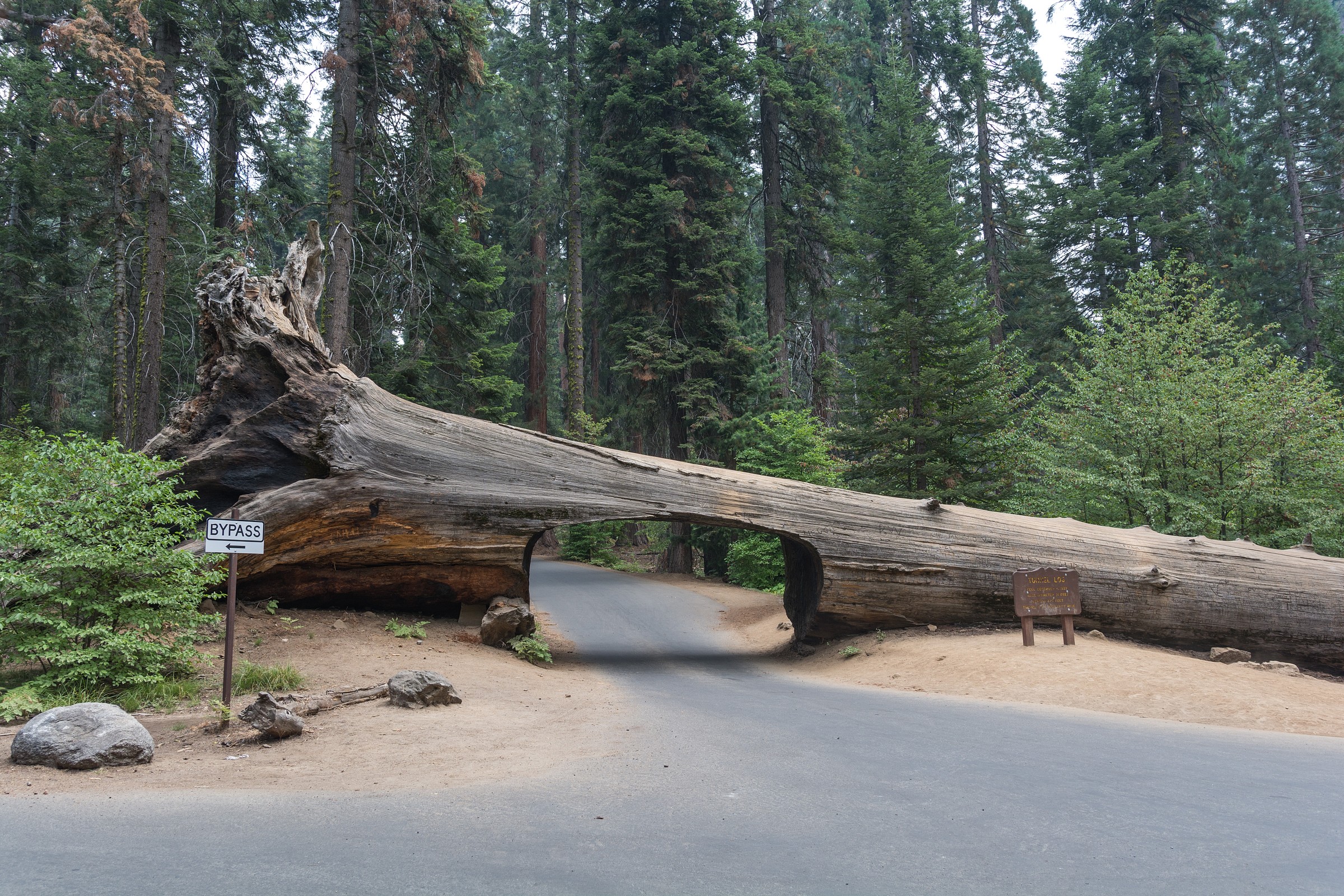 Tunnel Log | Natural Atlas