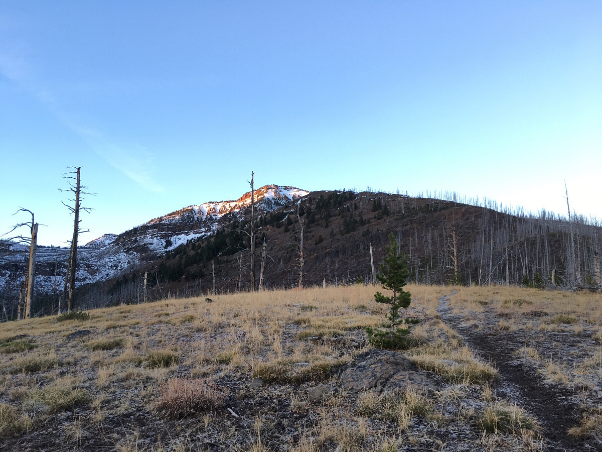 Strawberry Mountain Wilderness Map, OR – Natural Atlas