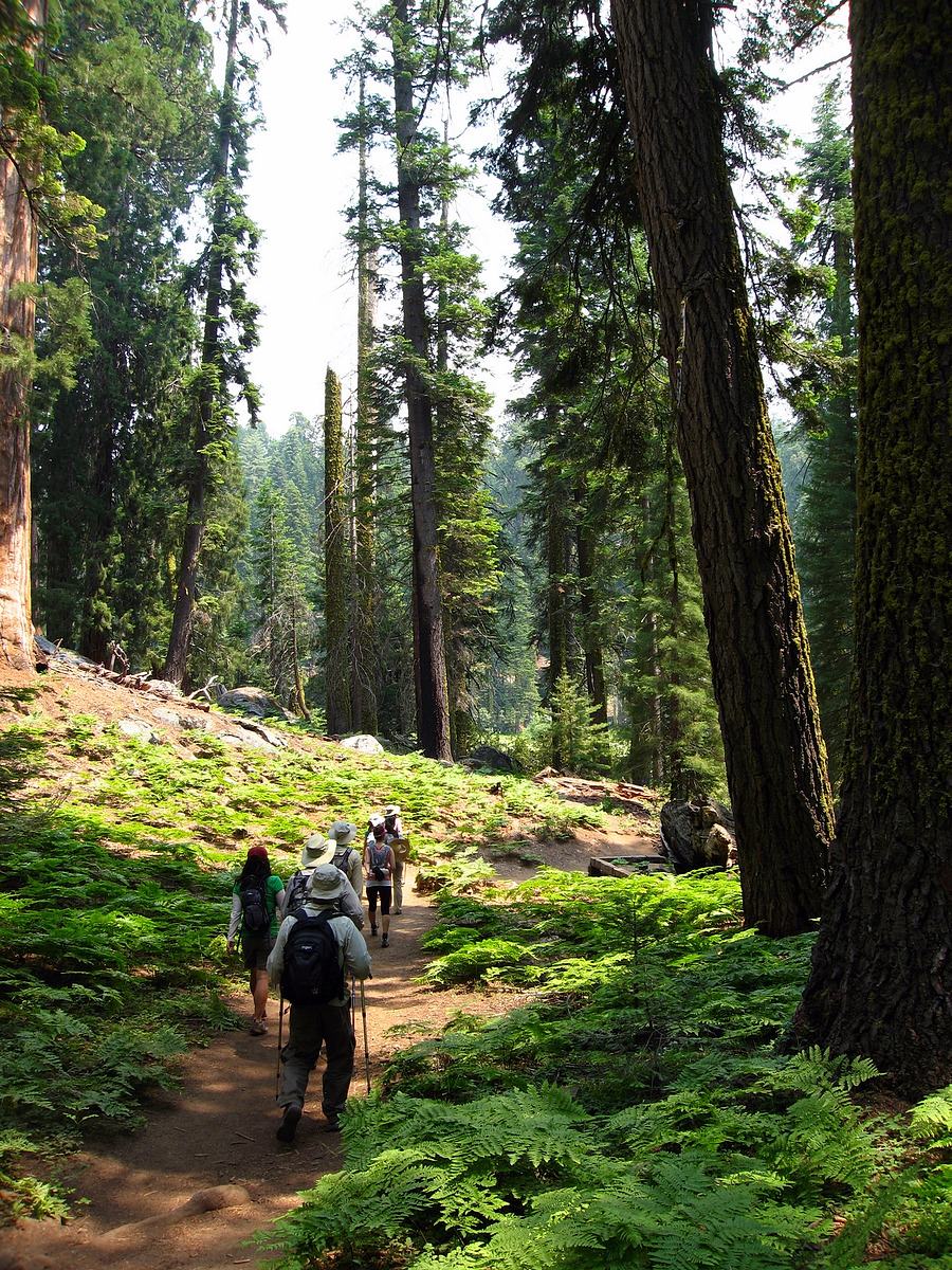 Crescent Meadow-Tharps Log Trail | Natural Atlas