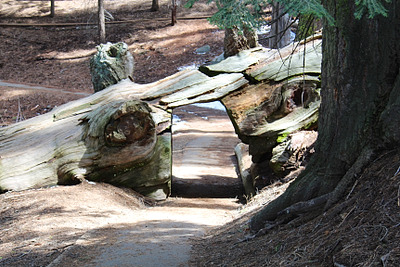 Congress Trail | Natural Atlas