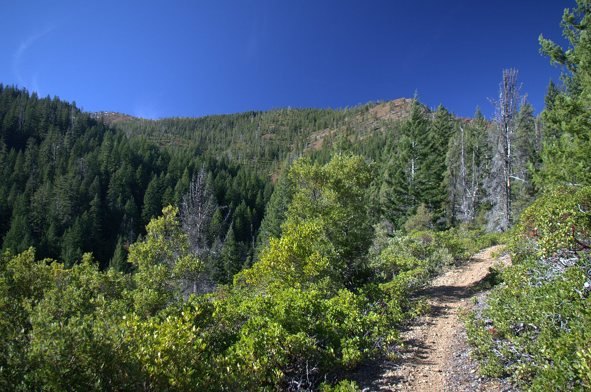 Applegate River Map (Cantrall Buckley County Park) – Natural Atlas