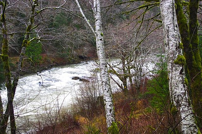 Nehalem River Map, OR – Natural Atlas