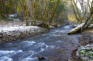 Nehalem River Map, OR – Natural Atlas