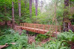 Nehalem River Map, OR – Natural Atlas