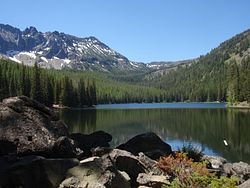 Malheur National Forest Map – Natural Atlas