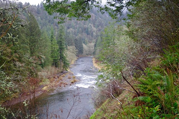 Trask River Map – Tillamook, OR – Natural Atlas