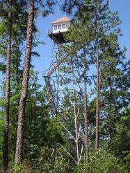 Conecuh National Forest Map – Natural Atlas