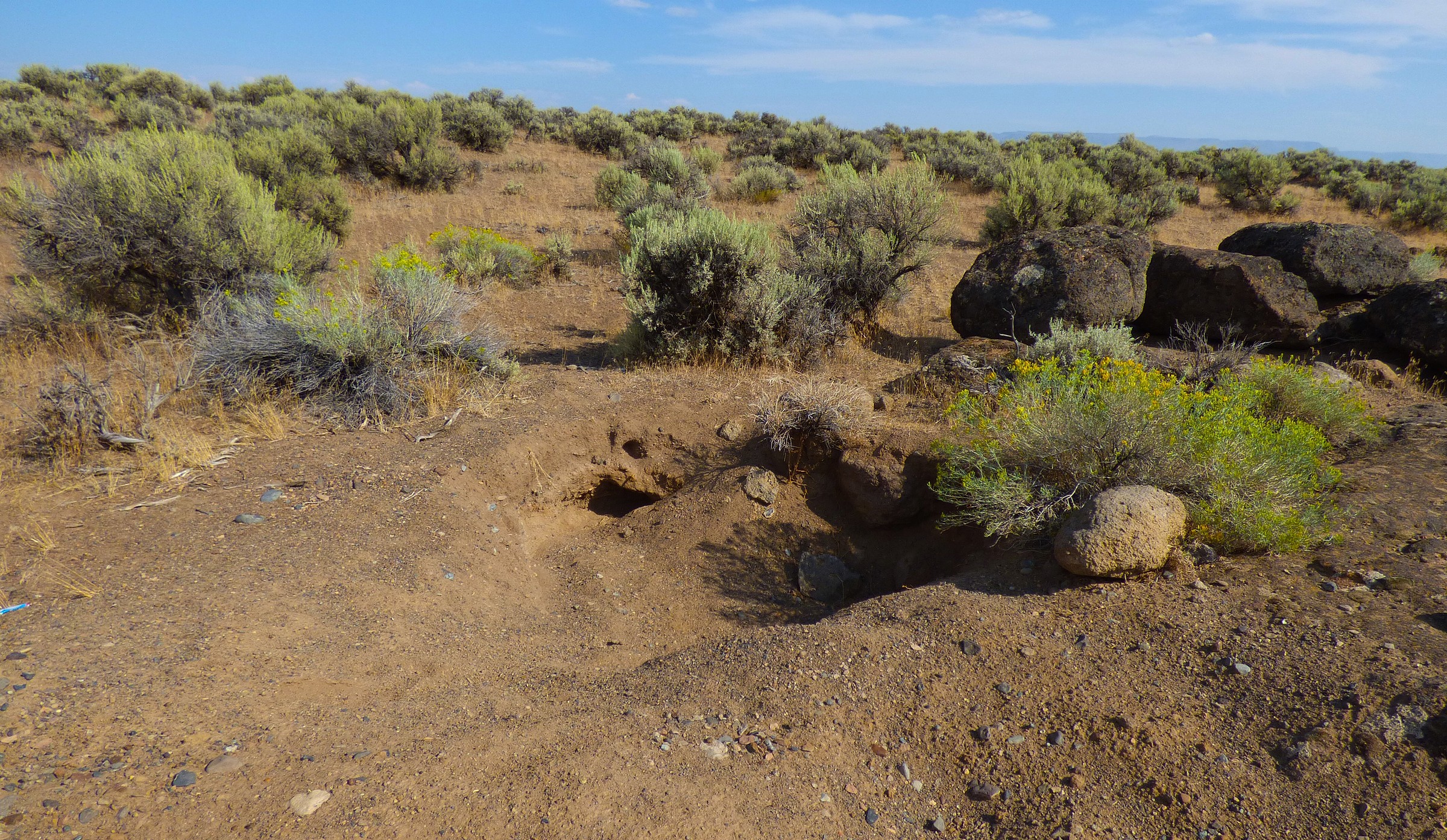 Oregon Sunstone Rockhounding Area | Natural Atlas