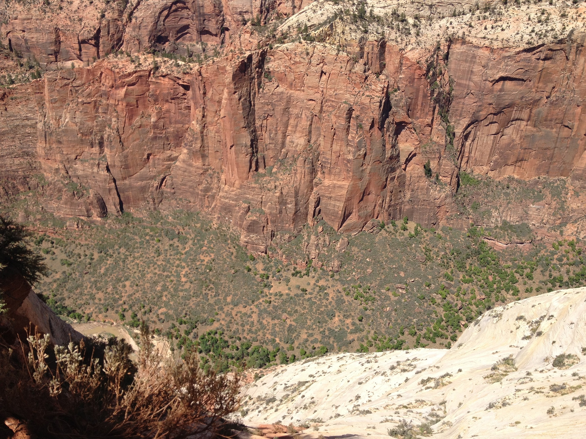 Observation Point Trail | Natural Atlas