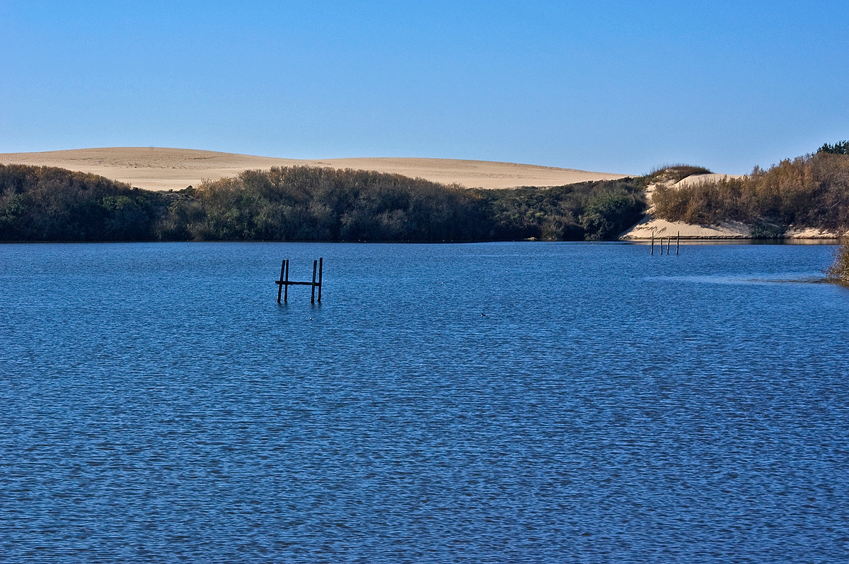 Oso Flaco Lake | Natural Atlas