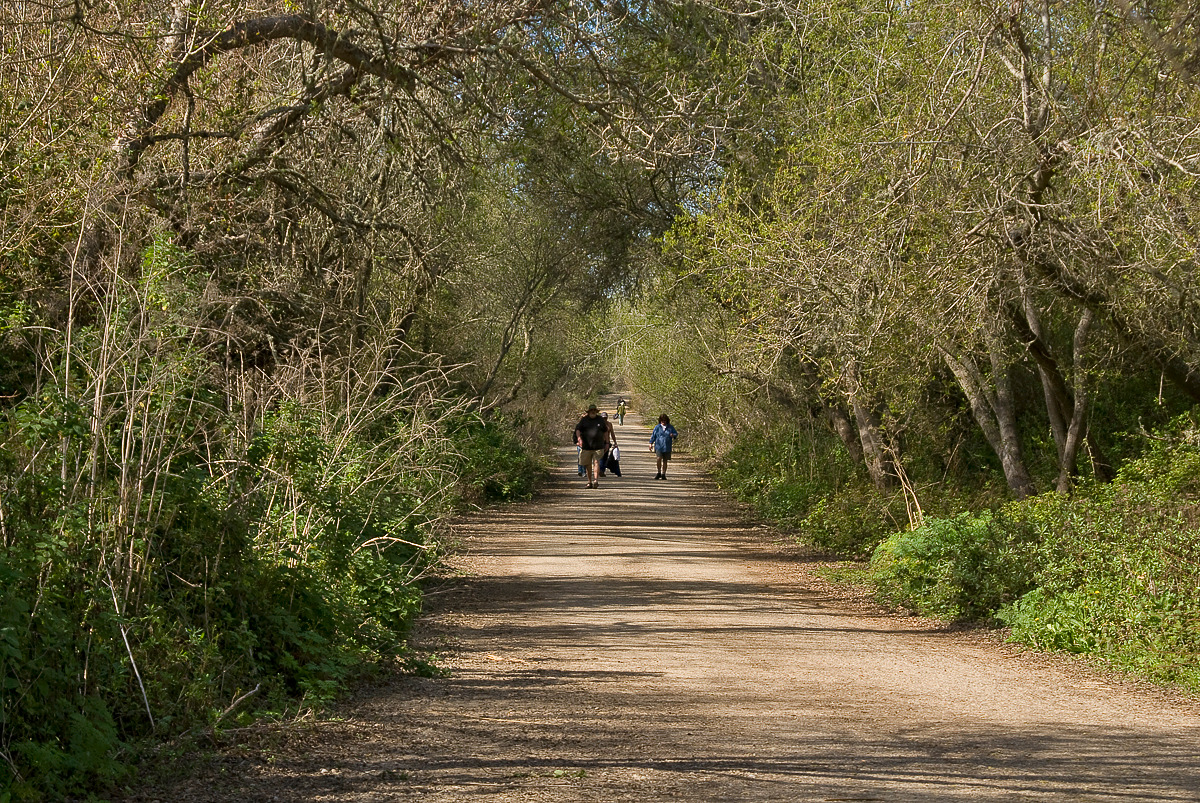 Oso Flaco Lake Trailhead | Natural Atlas