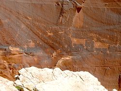 Comb Ridge Procession Panel | Natural Atlas