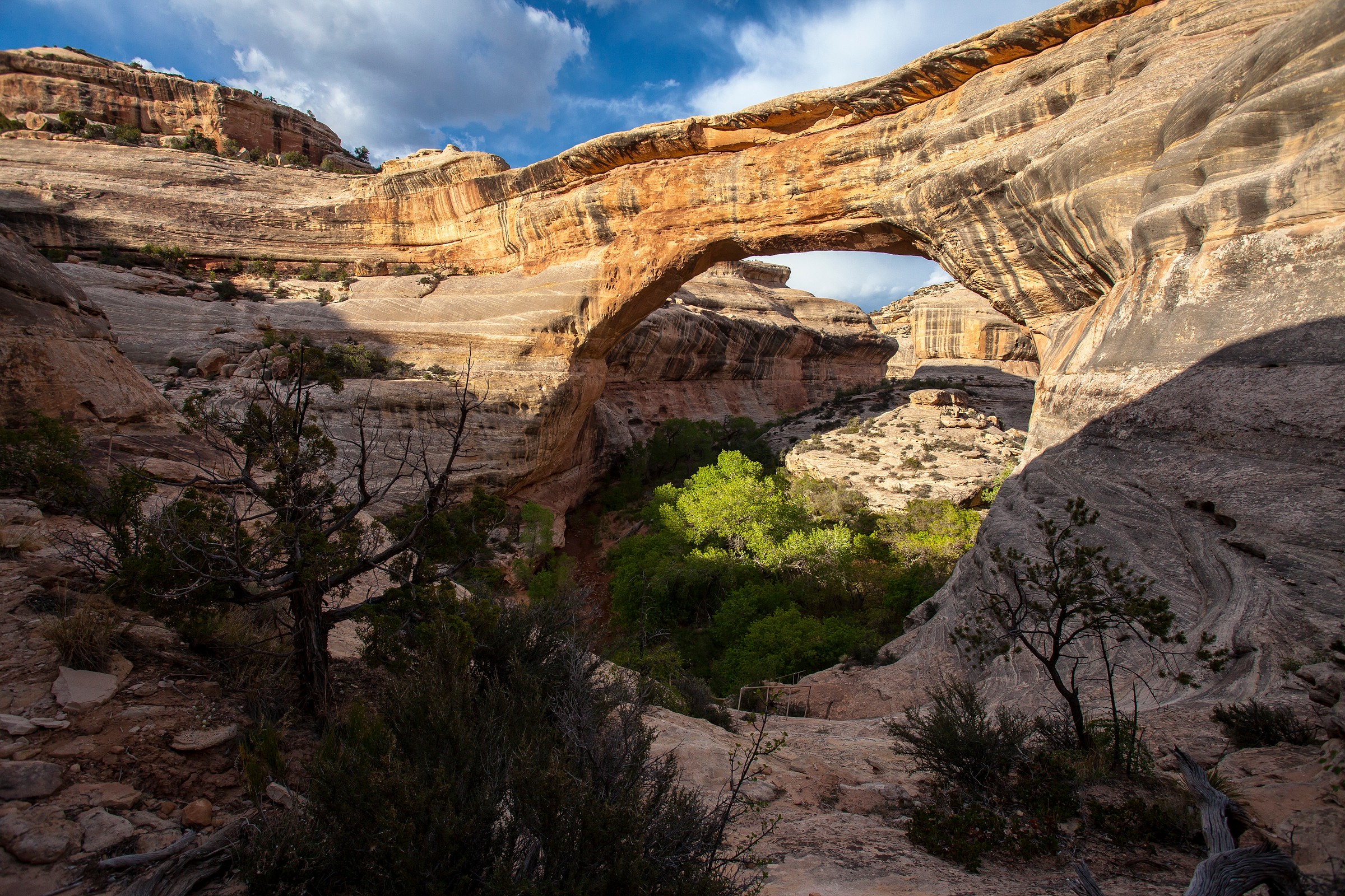 Sipapu Bridge View (Natural Bridges National Monument) – Natural Atlas