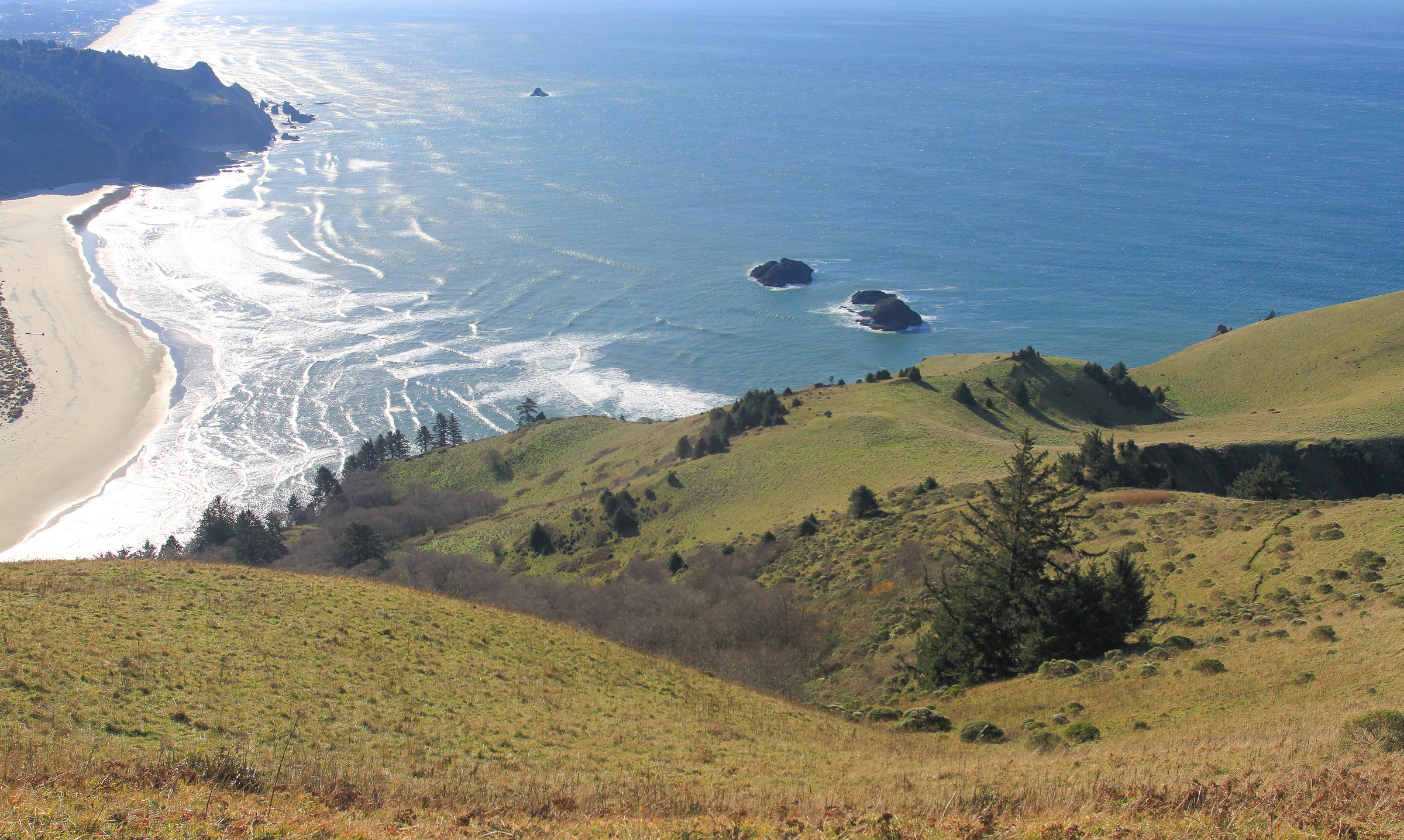 Cascade Head Hike | Natural Atlas