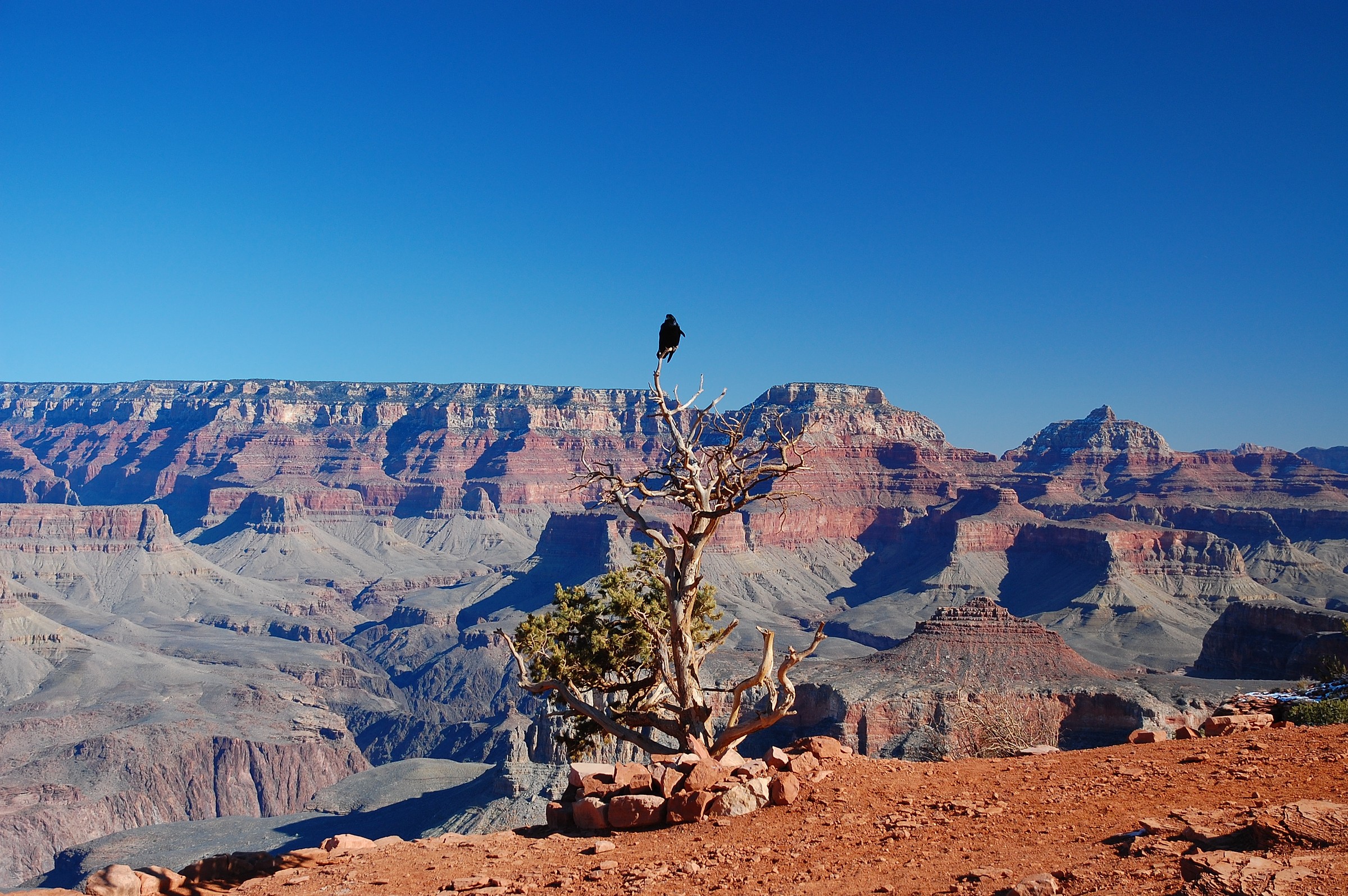 Skeleton Point | Natural Atlas