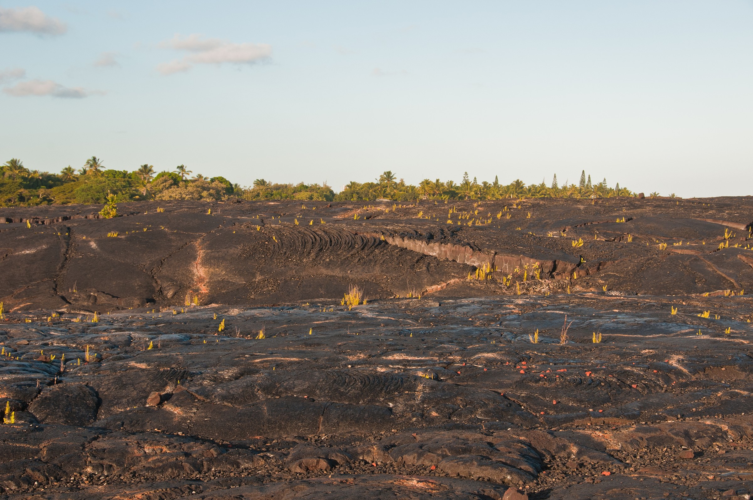 Kaimū Beach Park | Natural Atlas