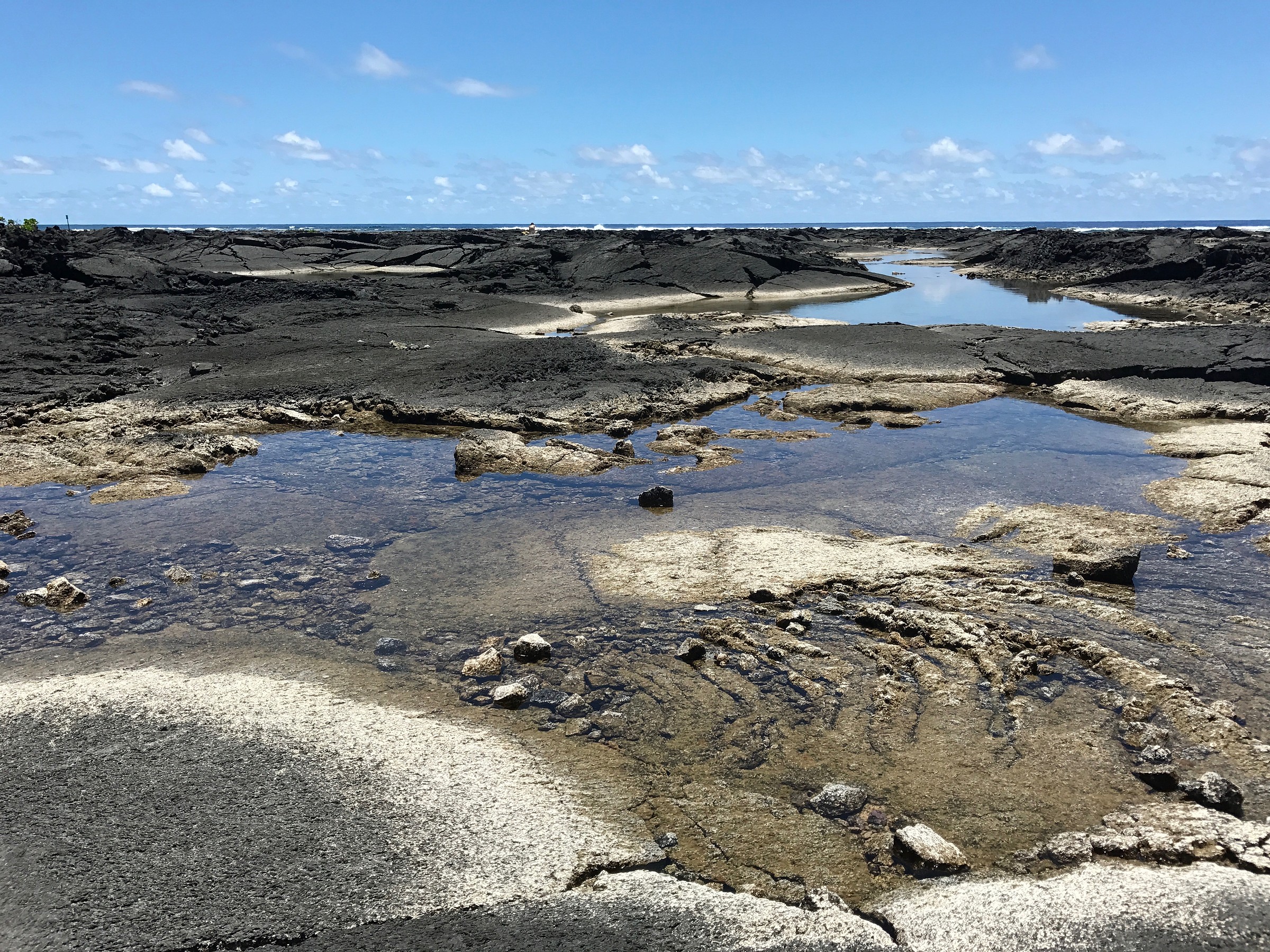 Kapoho Tidepools | Natural Atlas