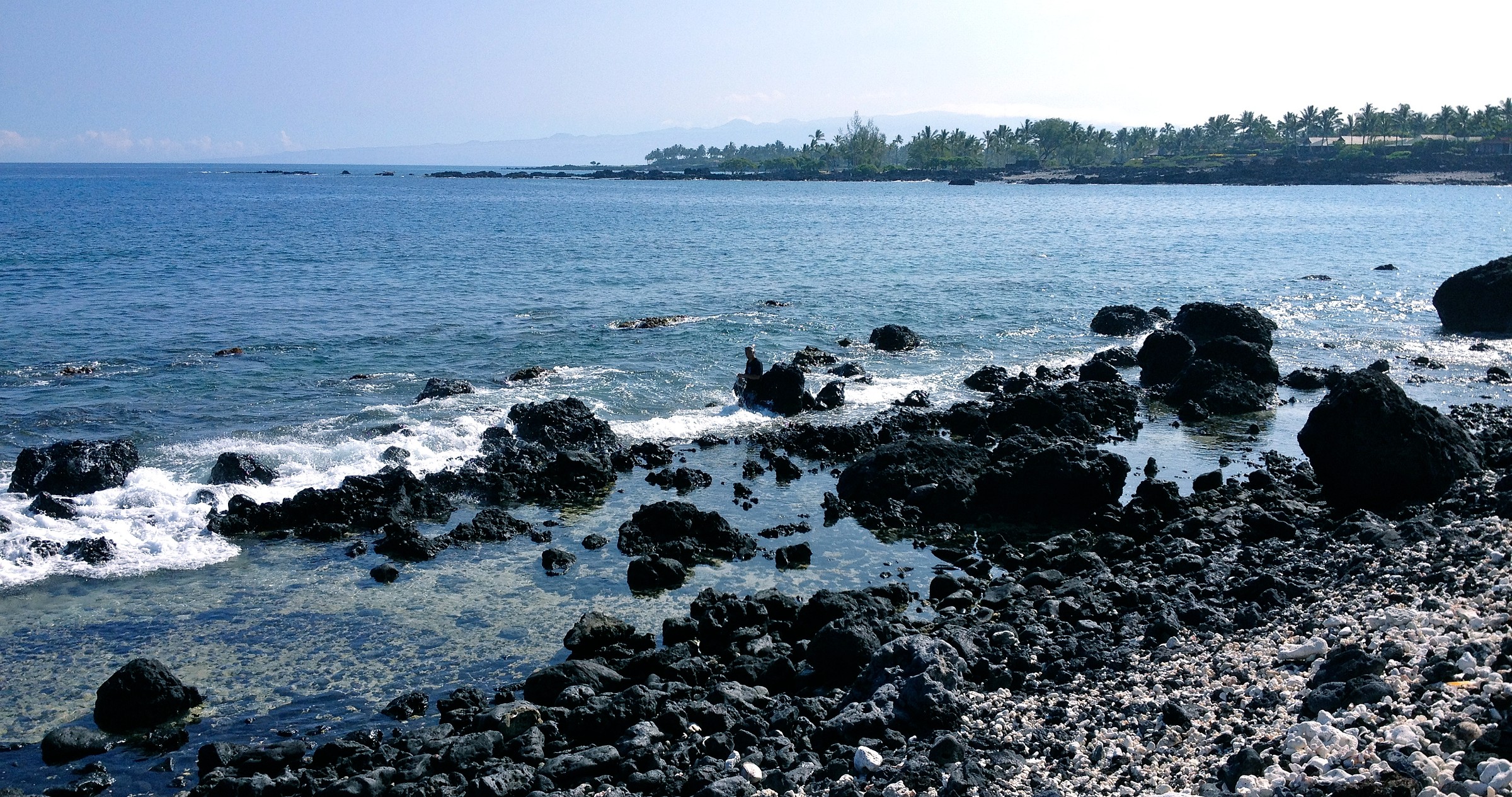 Kakapa Bay | Natural Atlas