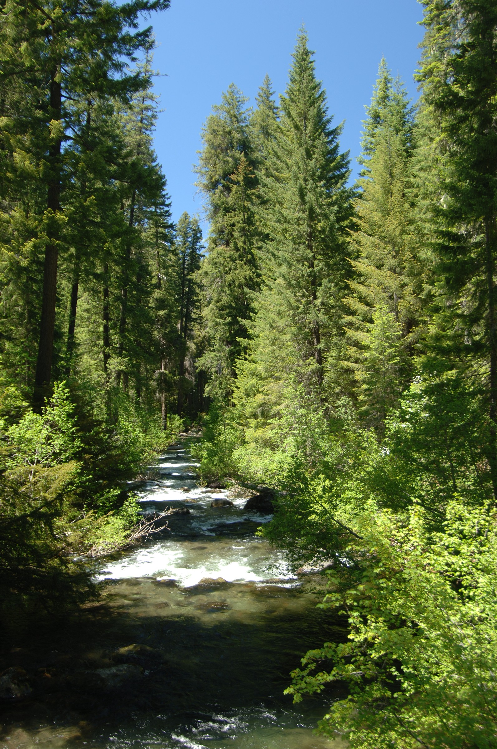 Upper Rogue River Trail | Natural Atlas