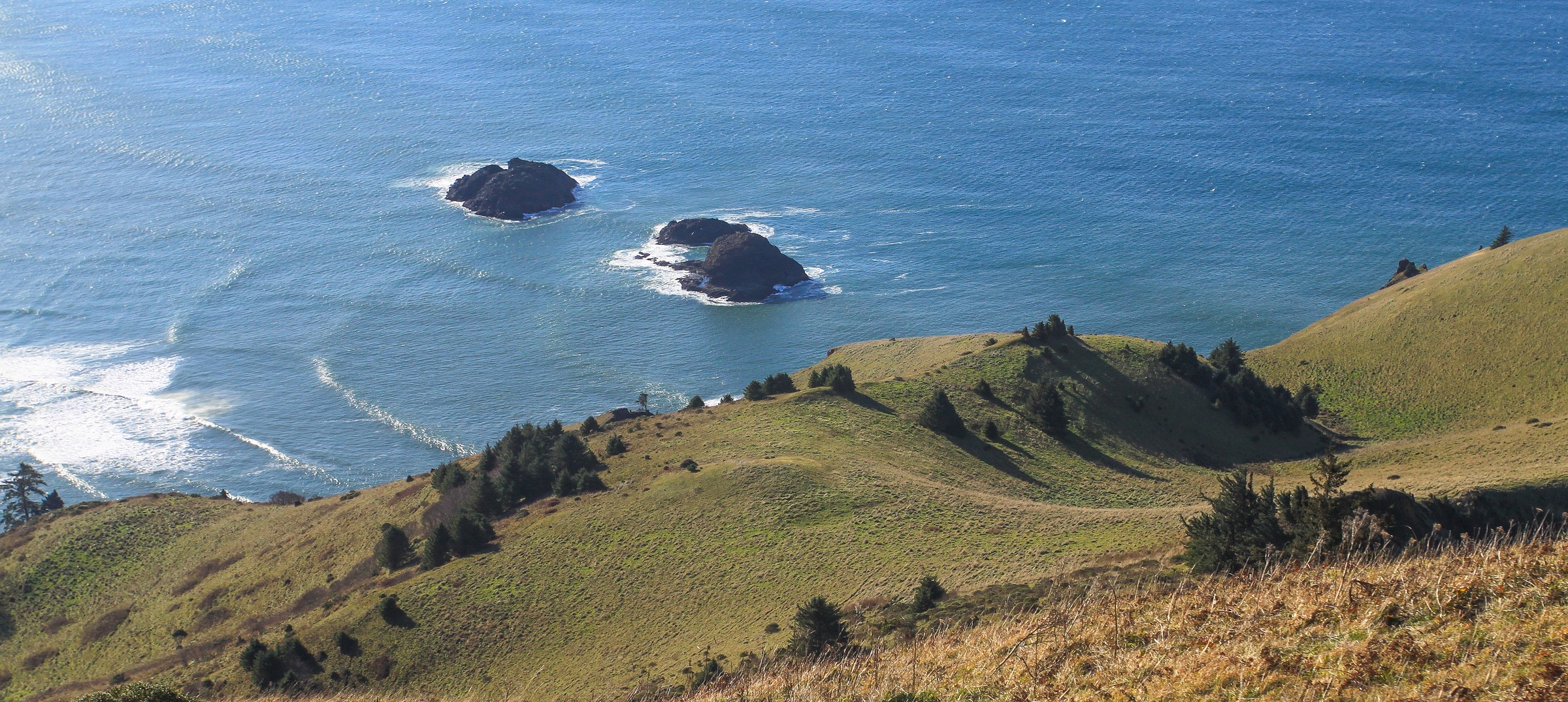 Cascade Head National Scenic And Research Area | Natural Atlas