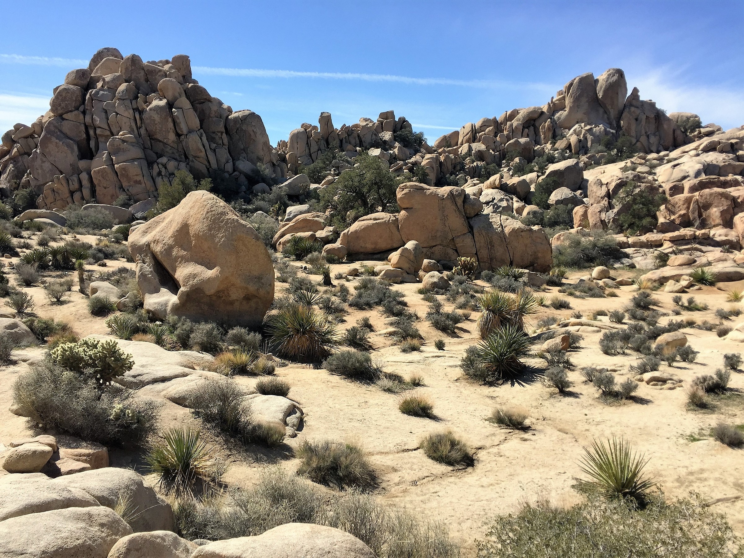 Hidden Valley Nature Trail | Natural Atlas