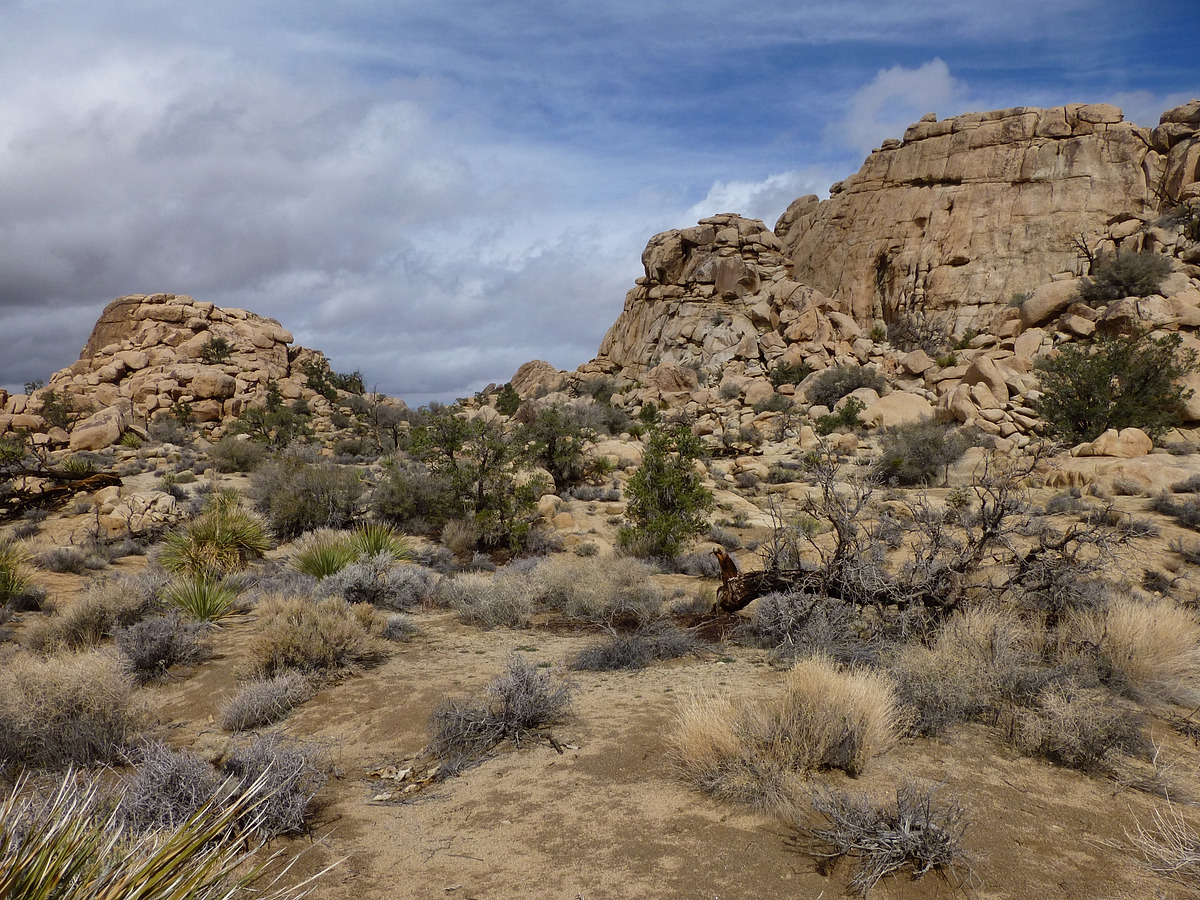 Hidden Valley Nature Trail (Joshua Tree) – Natural Atlas