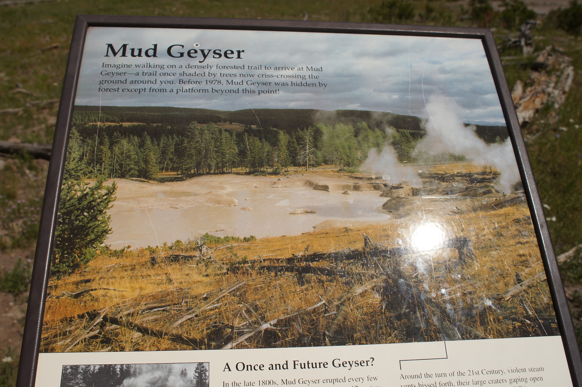 Mud Geyser | Natural Atlas