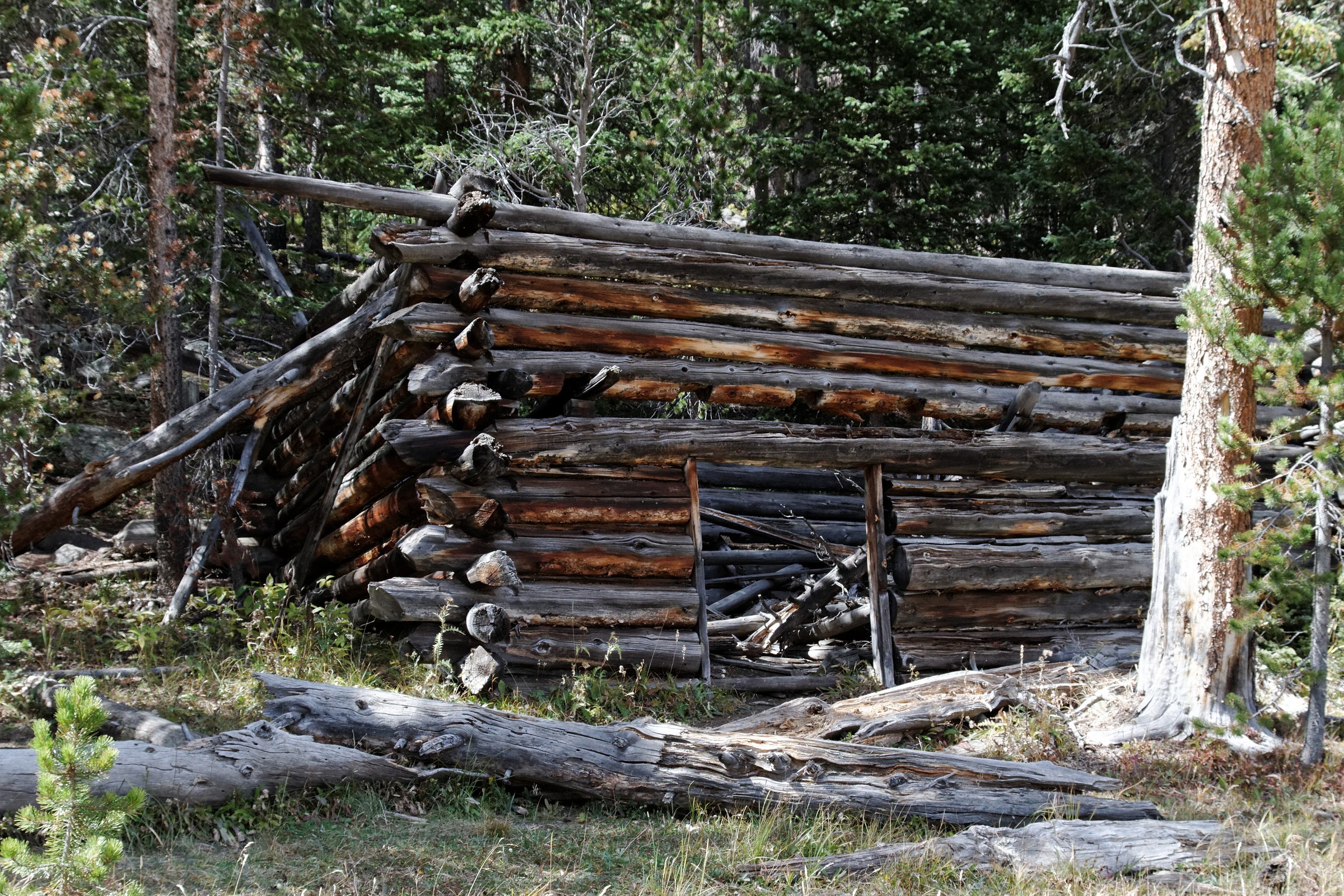 Cabin Ruins – Natural Atlas