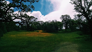 Ohlone Regional Wilderness | Natural Atlas