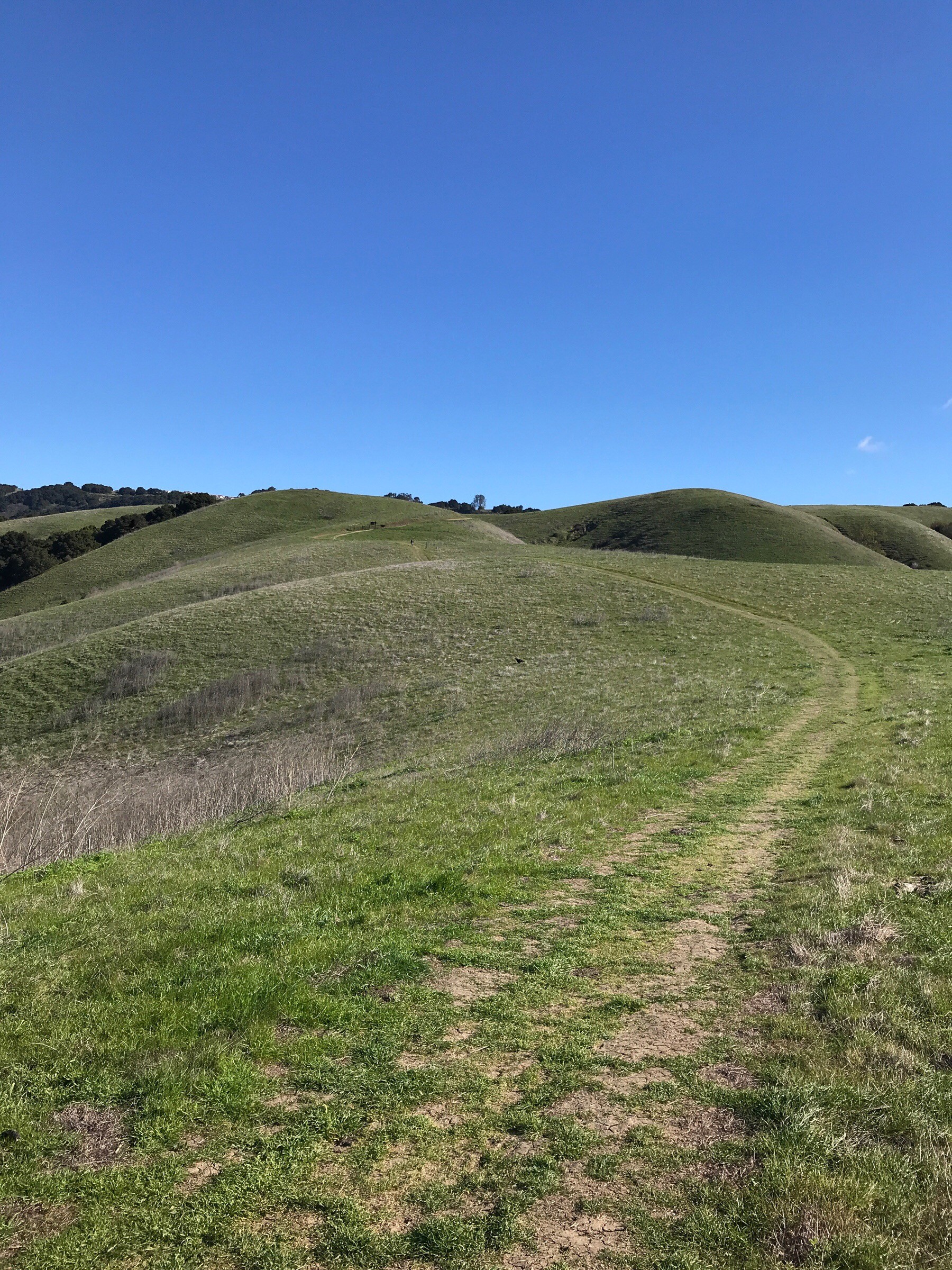High Ridge Loop Trail | Natural Atlas