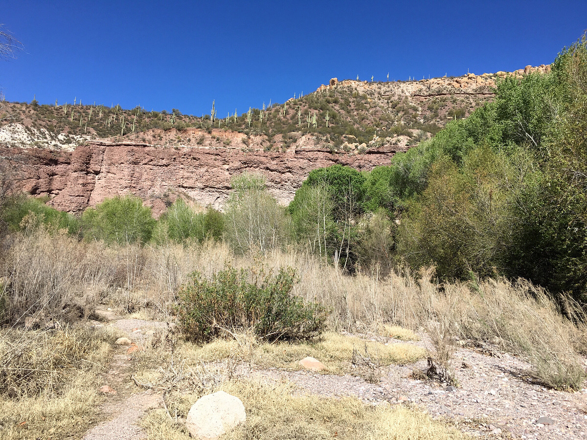 Aravaipa Canyon Route | Natural Atlas