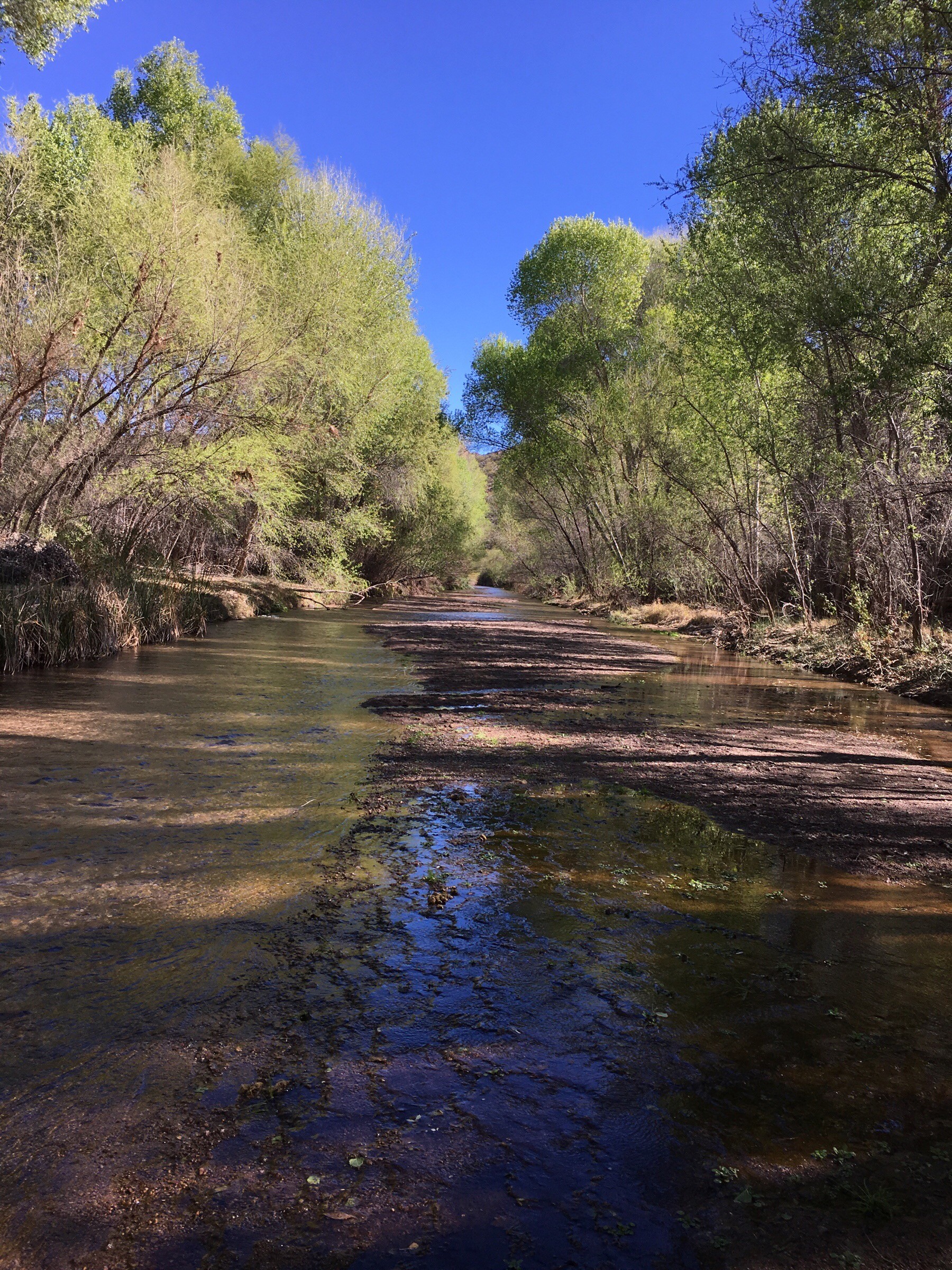 Aravaipa Canyon Route | Natural Atlas