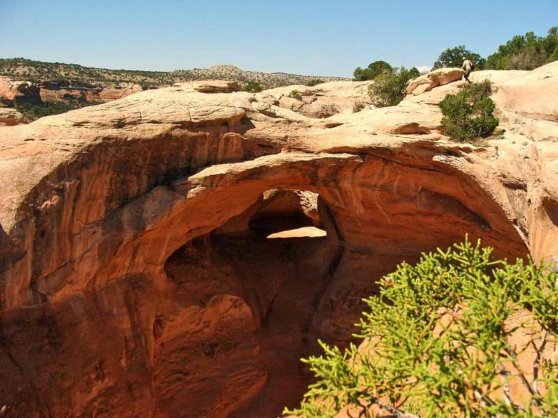 Rattlesnake Arches Out & Back · Featured Route | COTREX