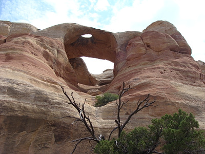 Rattlesnake Arches Out & Back · Featured Route | COTREX