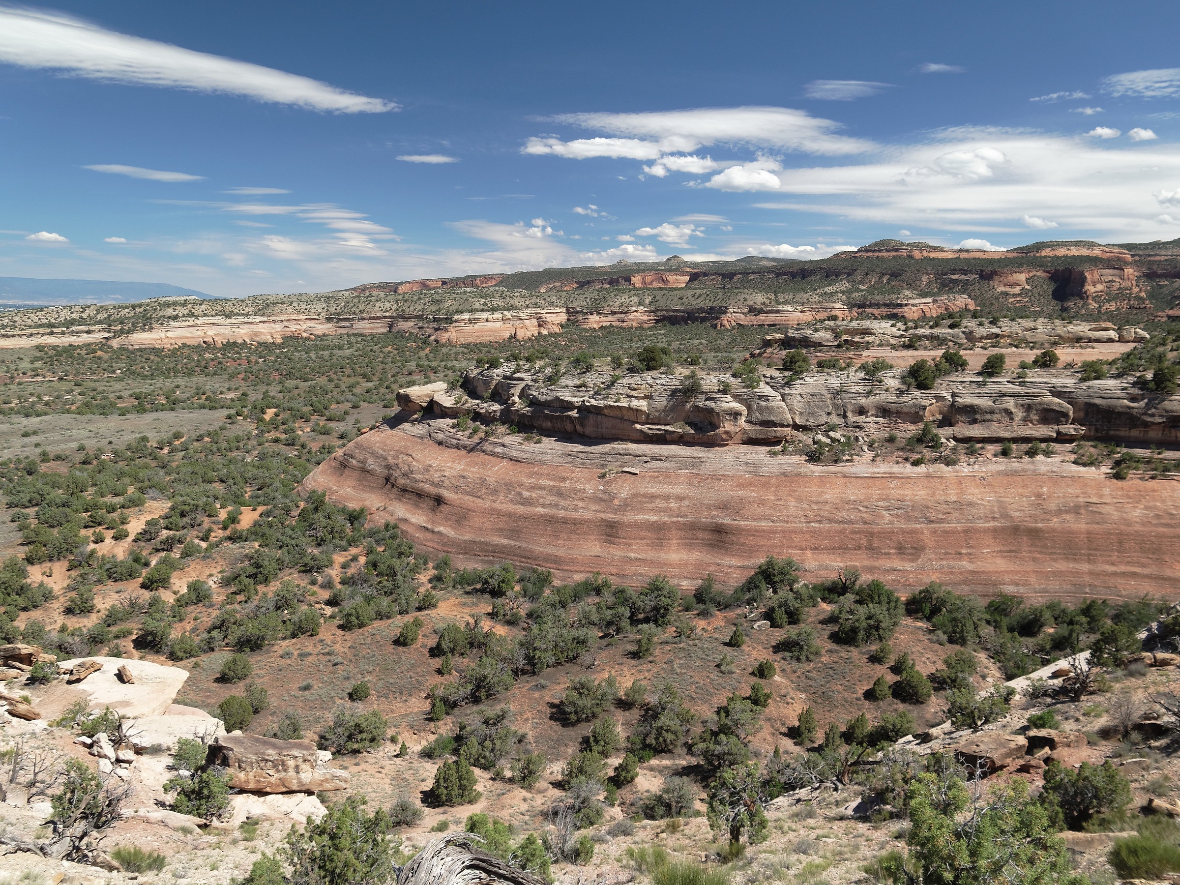 Pollock Bench (P1) Trail | Natural Atlas