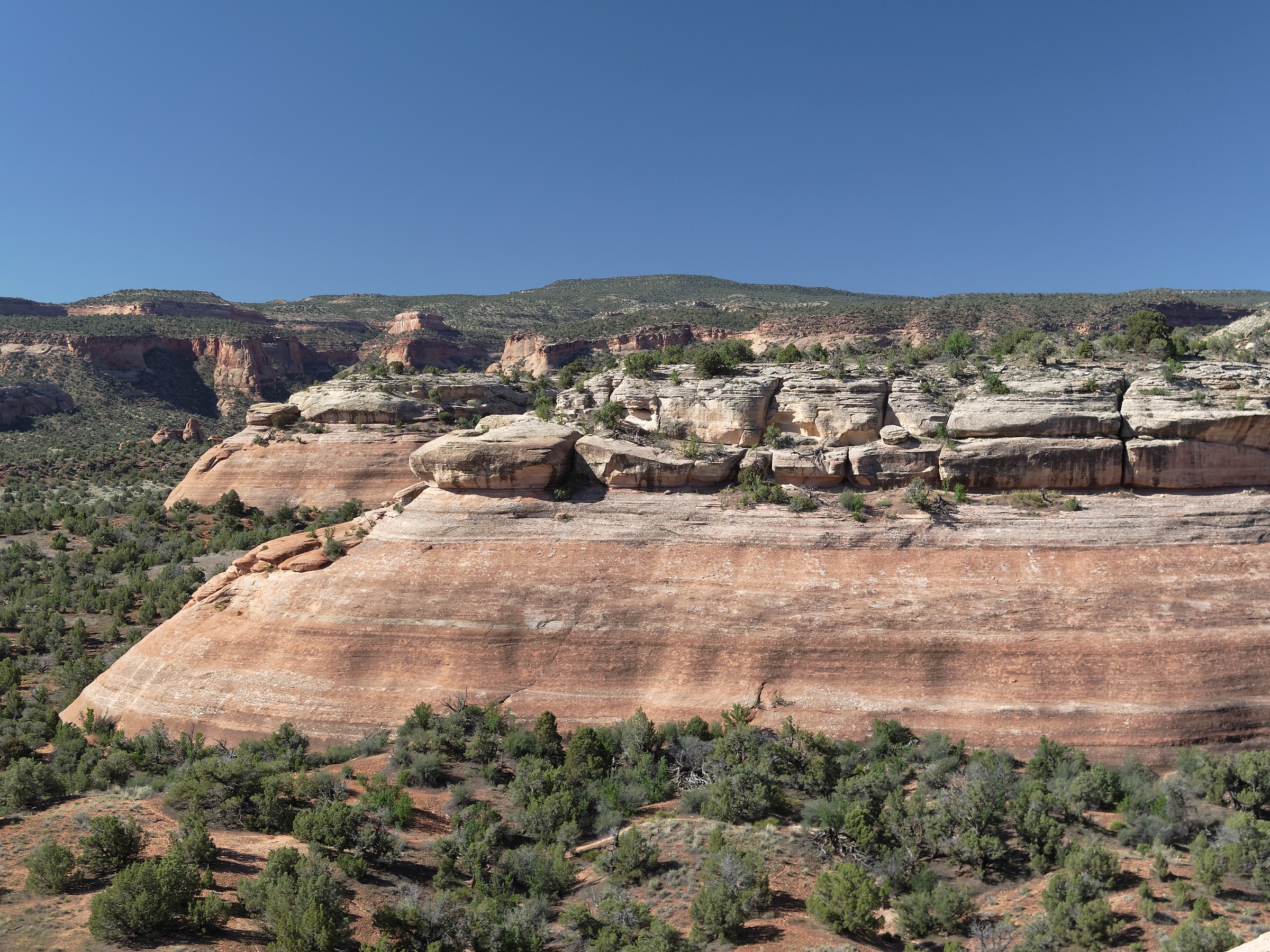 Pollock Bench (P1) Trail | Natural Atlas