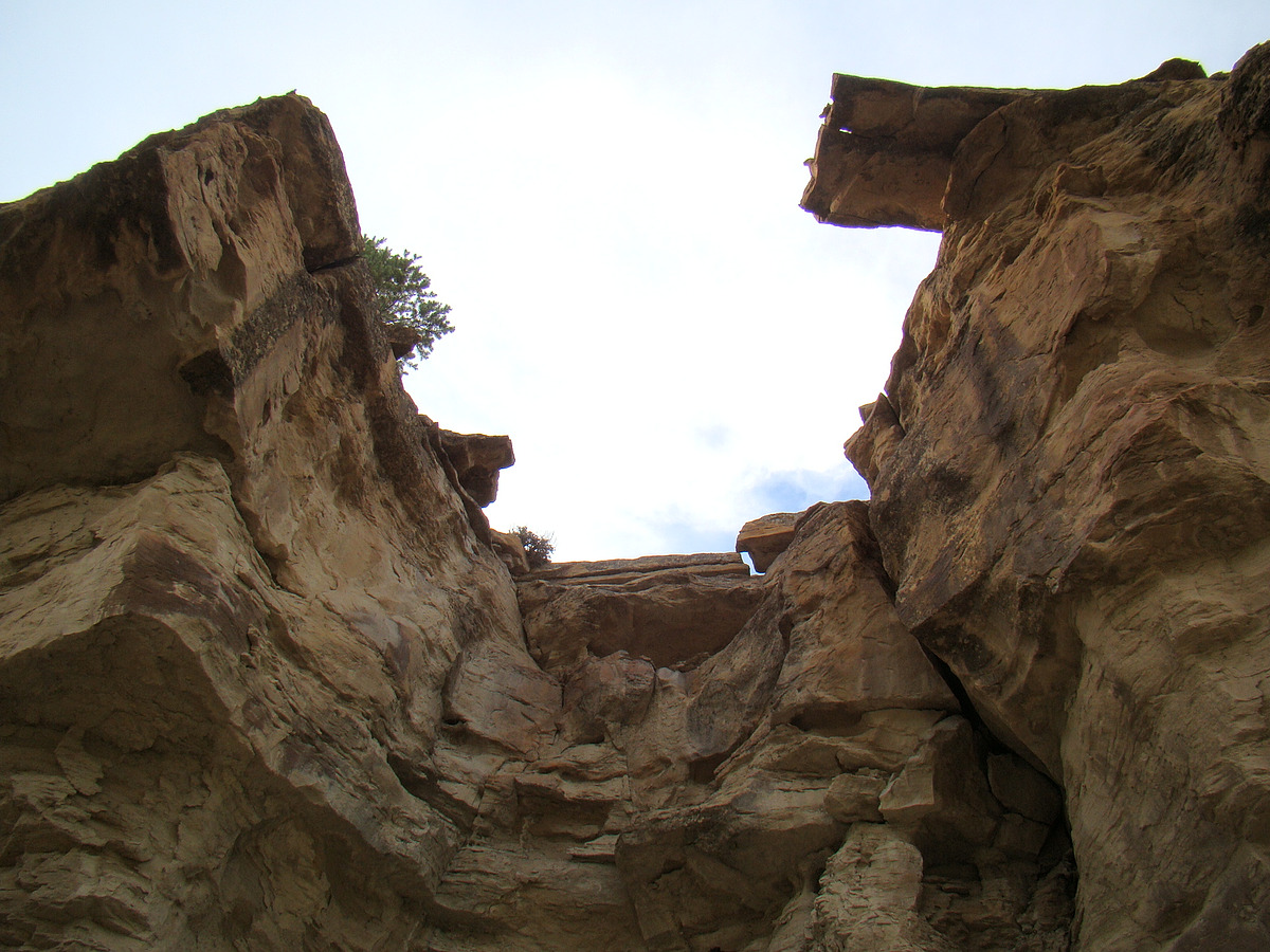 East Four–Mile Draw Trail | Natural Atlas