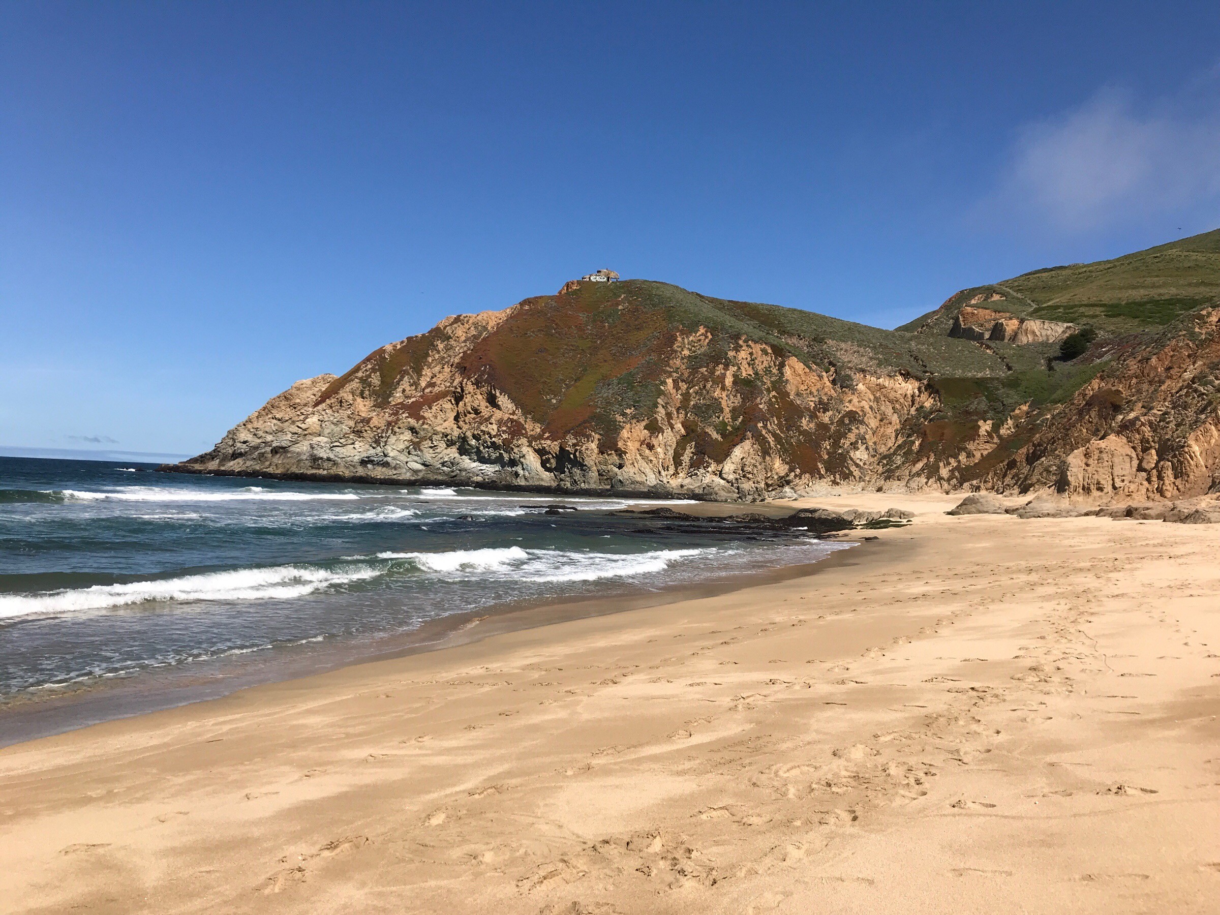 Gray Whale Cove Beach Access (Gray Whale Cove State Beach) – Natural Atlas