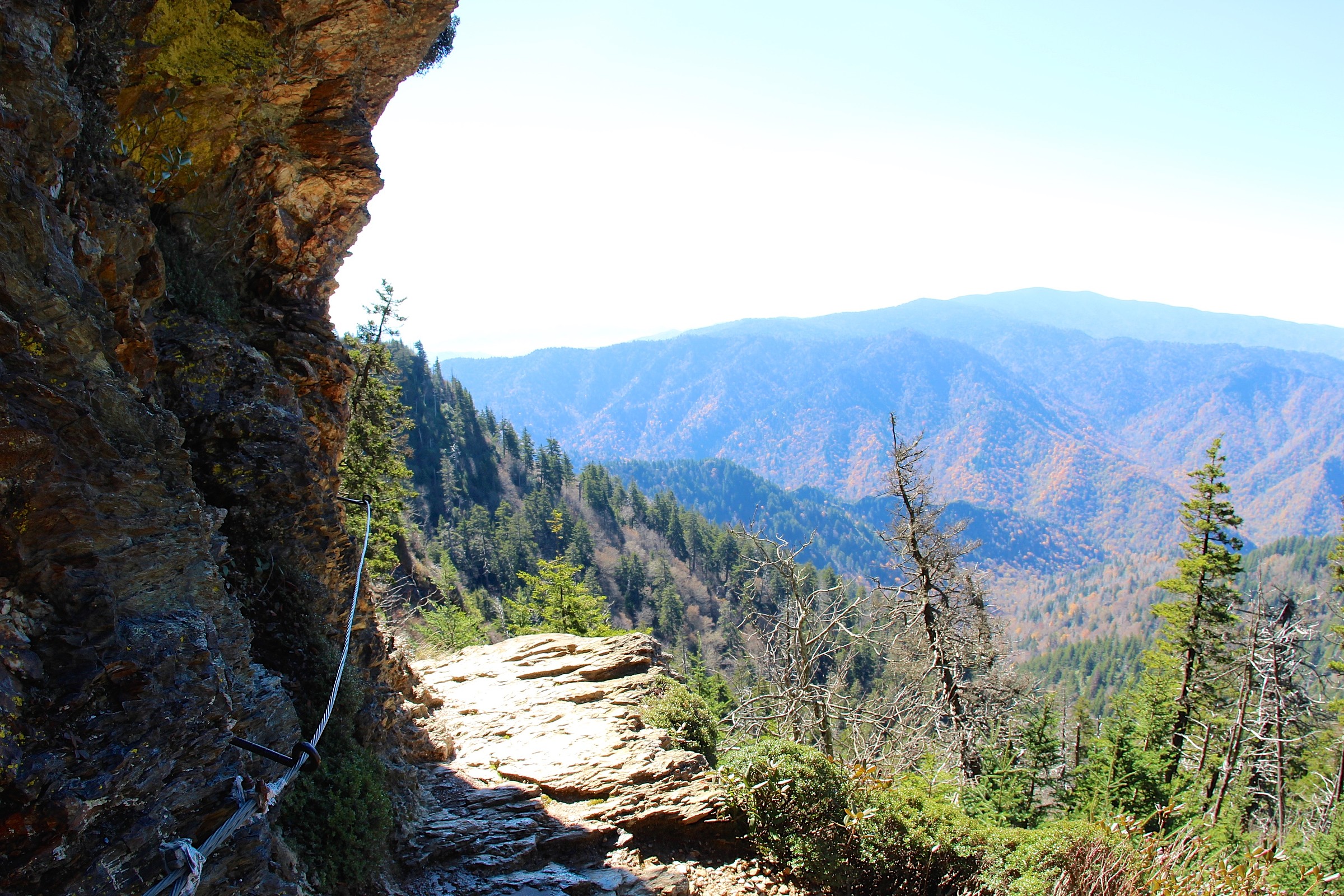 Alum Cave Trail | Natural Atlas